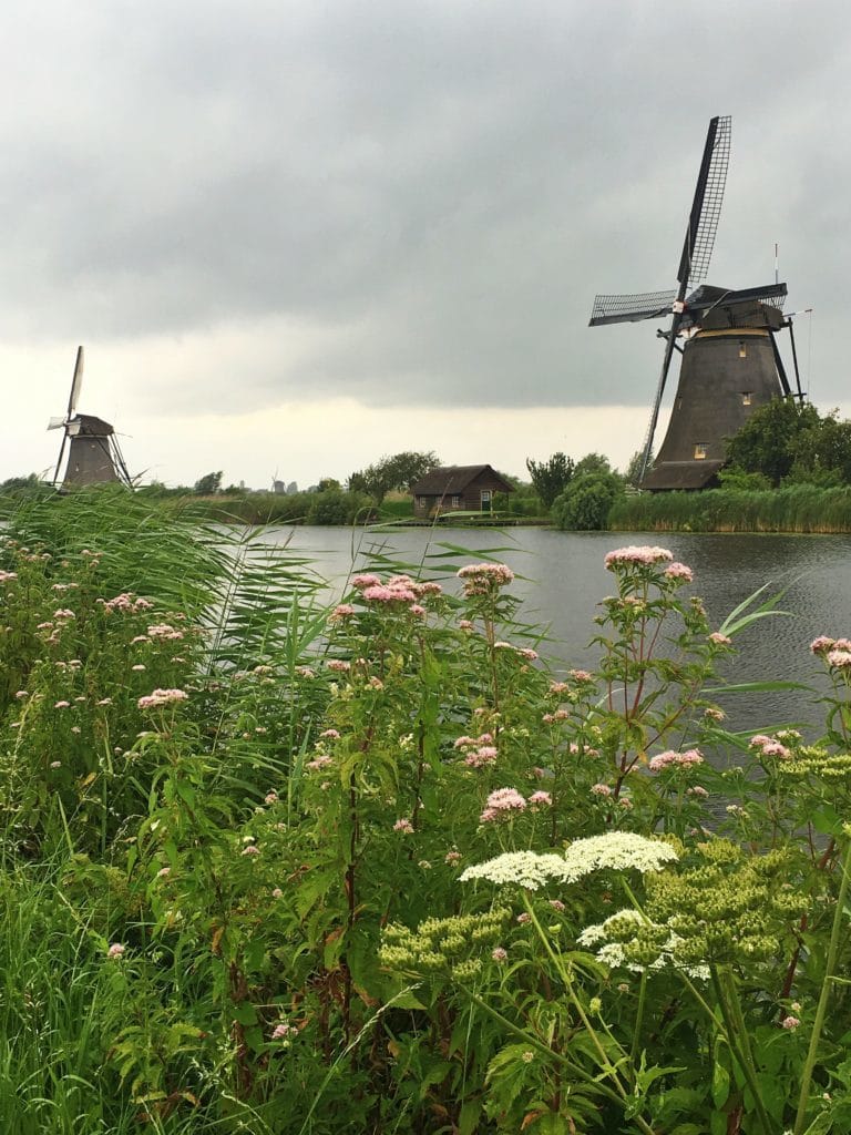 How to Take the Perfect Day Trip to the Kinderdijk Windmills