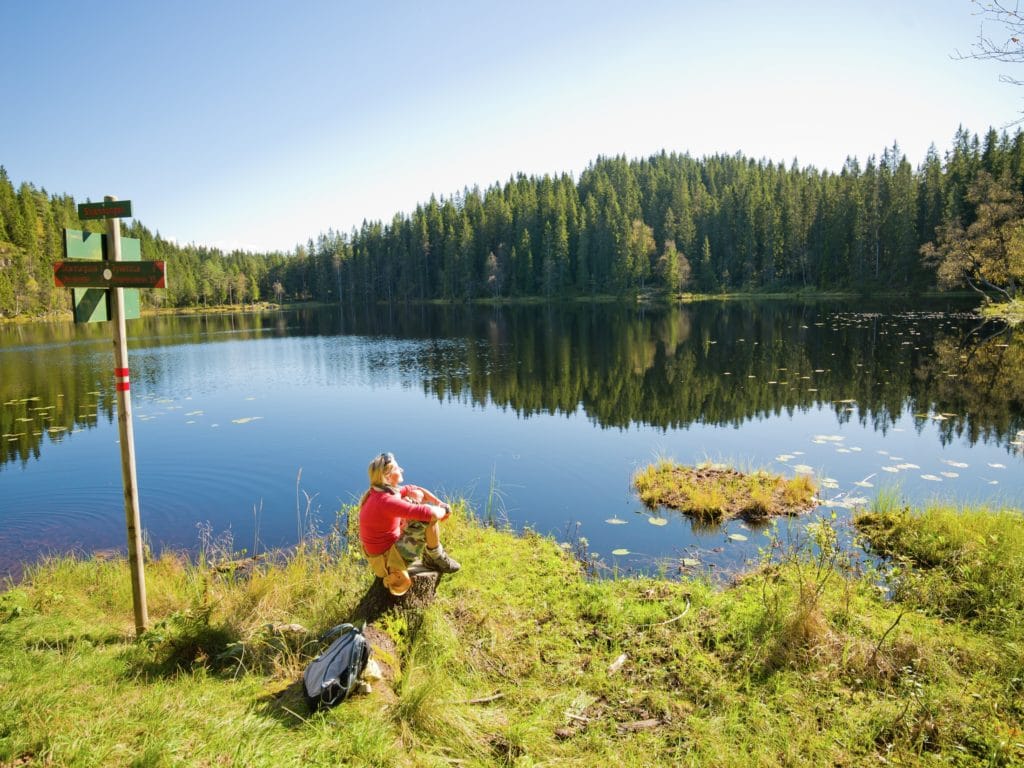 Reasons to Visit the Oslo Region