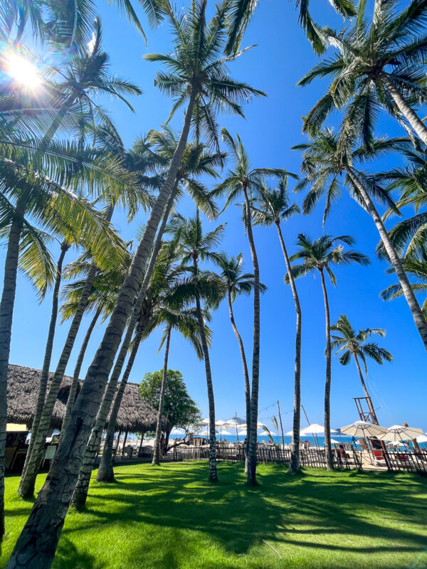 San Pancho, Mexico Travel Guide: Things to Do, See, Eat + Tips!