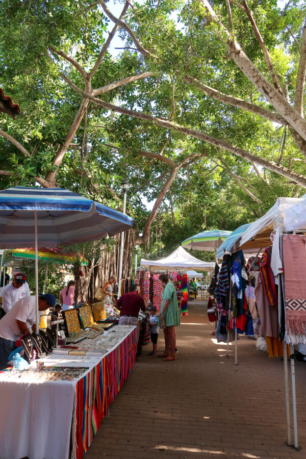 San Pancho, Mexico Travel Guide: Things to Do, See, Eat + Tips!