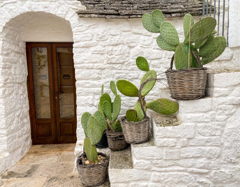 11 Best Things to Do in Alberobello, Italy + Must-Know Tips!