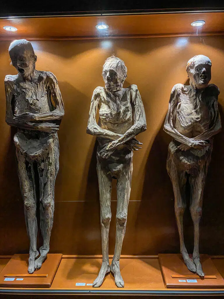 23 Amazing Things to Do in Guanajuato, Mexico (+ Travel Tips!)