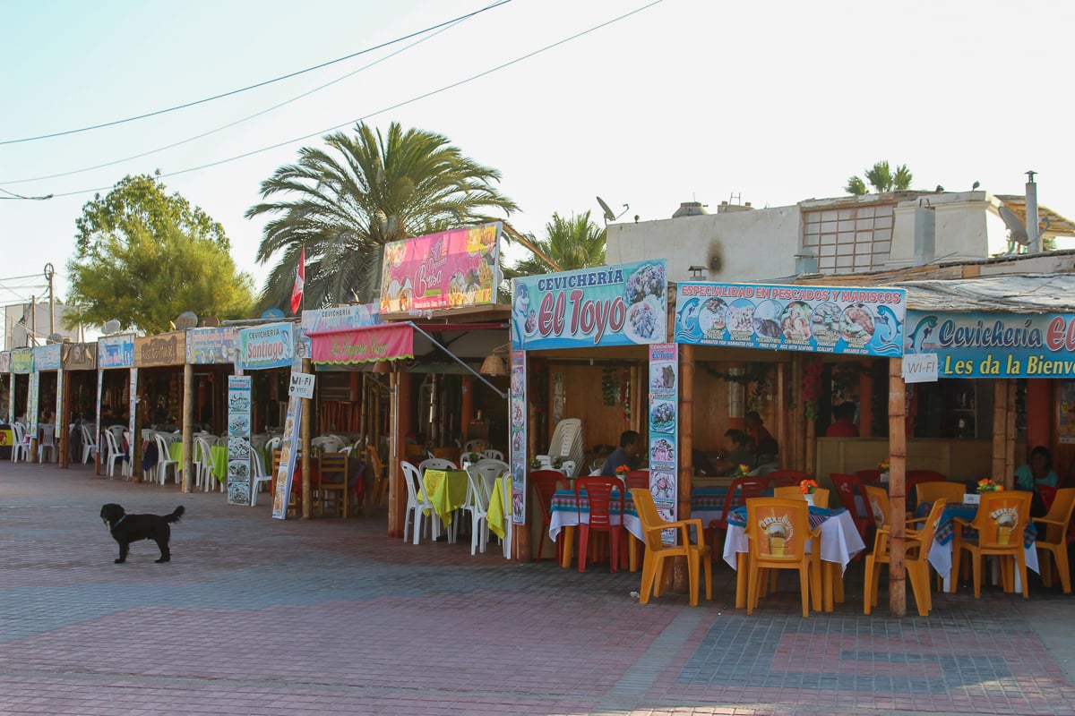 Best Things Do in Paracas, Peru: Ultimate Paracas Travel Guide!