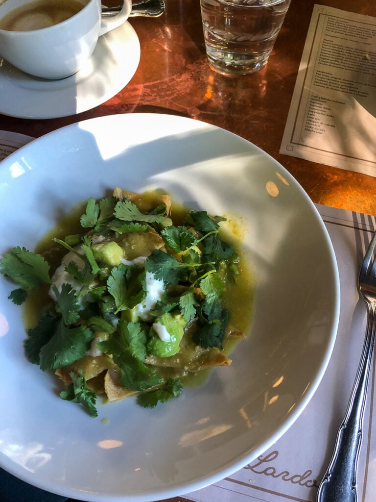 25 Best Restaurants in Mexico City: Ultimate CDMX Foodie Guide