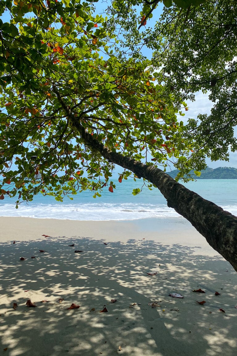 17 Best Things to Do in Manuel Antonio + Must-Know Tips
