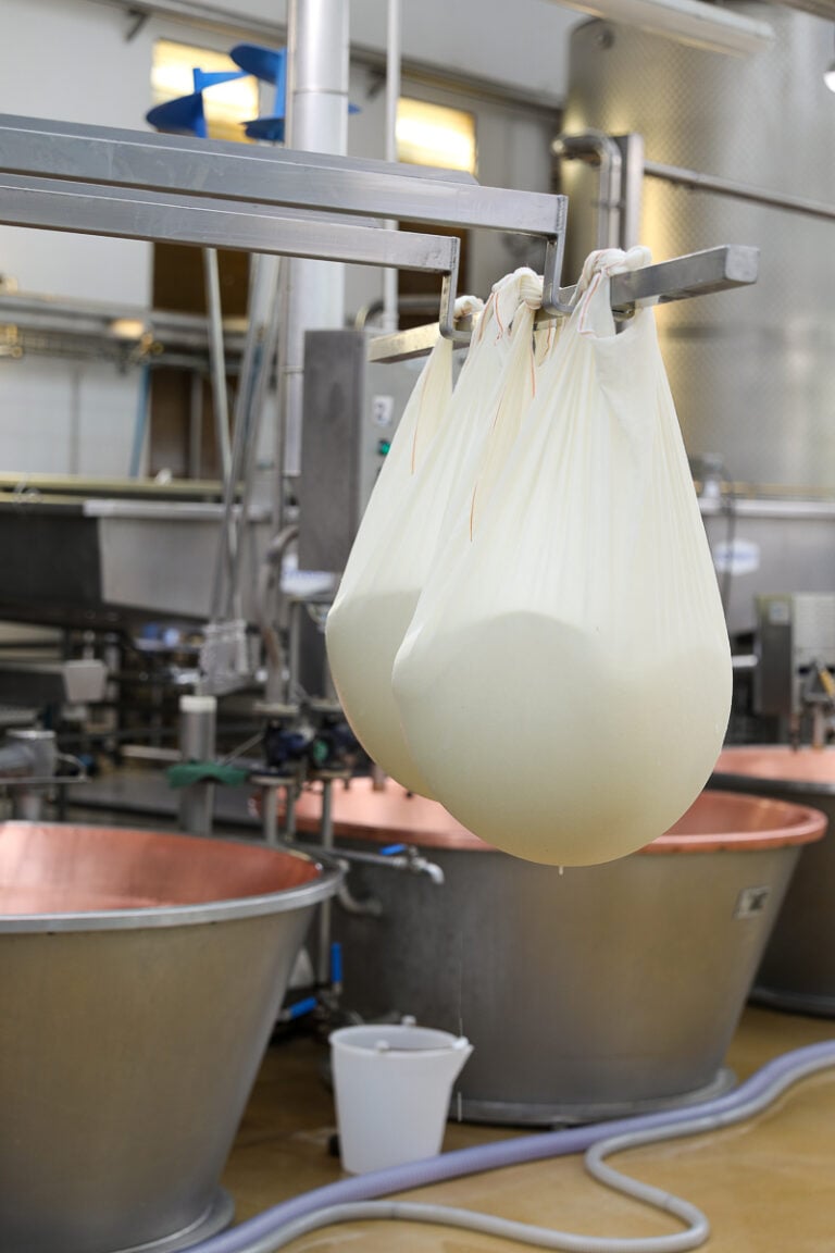 Bologna Food Factory Tour: The Best Foodie Experience in Italy!